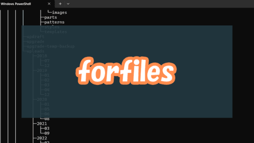 【解説】forfilesコマンドの使い方とファイル管理の基本 | Windowsでの特定条件によるファイル操作 | Tamaglo