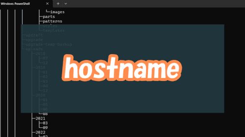【解説】hostnameコマンドの使い方とコンピューター名の確認方法 | Windowsでのシステム情報取得 | Tamaglo
