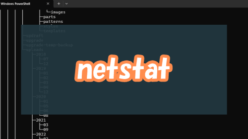 【解説】netstatコマンドの使い方とネットワーク接続状態の確認 | Windowsでの通信トラブルシューティング | Tamaglo