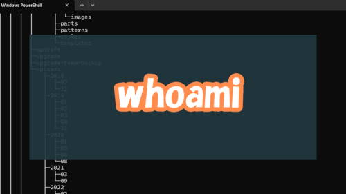 【解説】Windowsのwhoamiコマンドの使い方 | 現在ログインしているユーザー情報を確認する方法 | Tamaglo